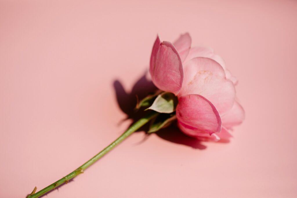 From Pink to Pale: Decoding What Your Gum Colour Reveals About ...